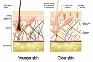 How To Improve Skin Elasticity And Keep It Firm [Quick Tips]