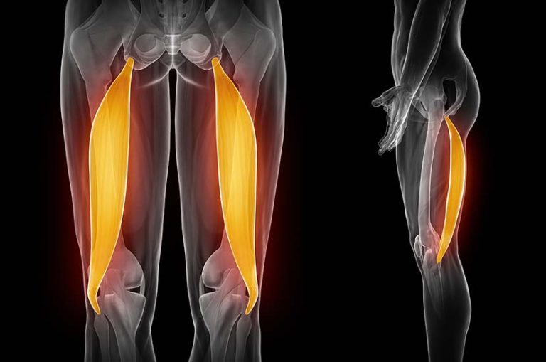 Training Hamstrings: 12 Best Leg Muscle Strengthening Exercises In 2023